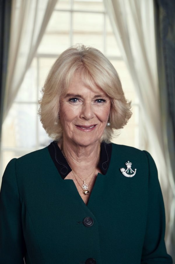 Official Portrait Released of New Colonel-in-Chief of The Rifles ...